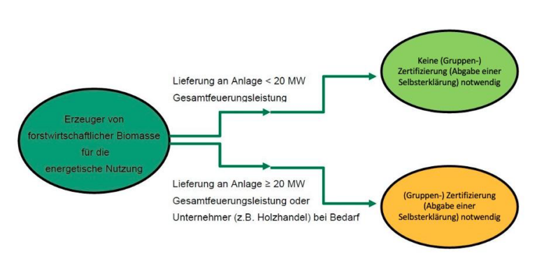 Informationen zur Nachhaltigkeitszertifizierung nach RED II bzw. RED ...