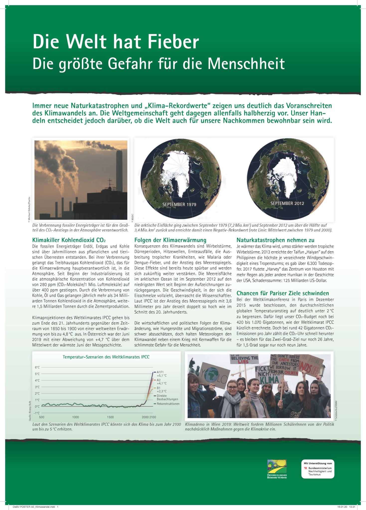 Publikationen - Österreichischer Biomasseverband